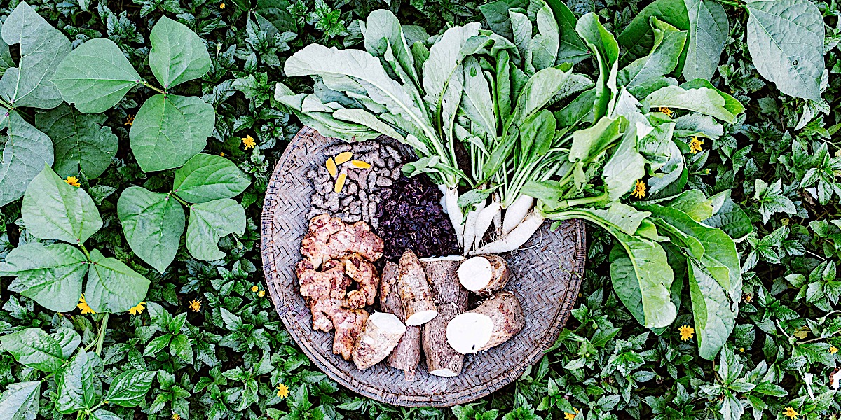 Food for thought: Understanding and combating global malnutrition - ONE ...