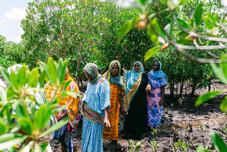This community in Tanzania is planting 1,000 trees every week - ONE.org ...