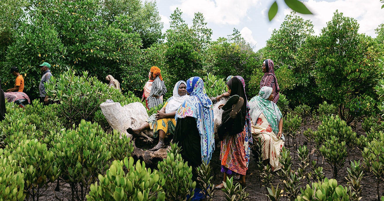 This community in Tanzania is planting 1,000 trees every week - ONE.org ...