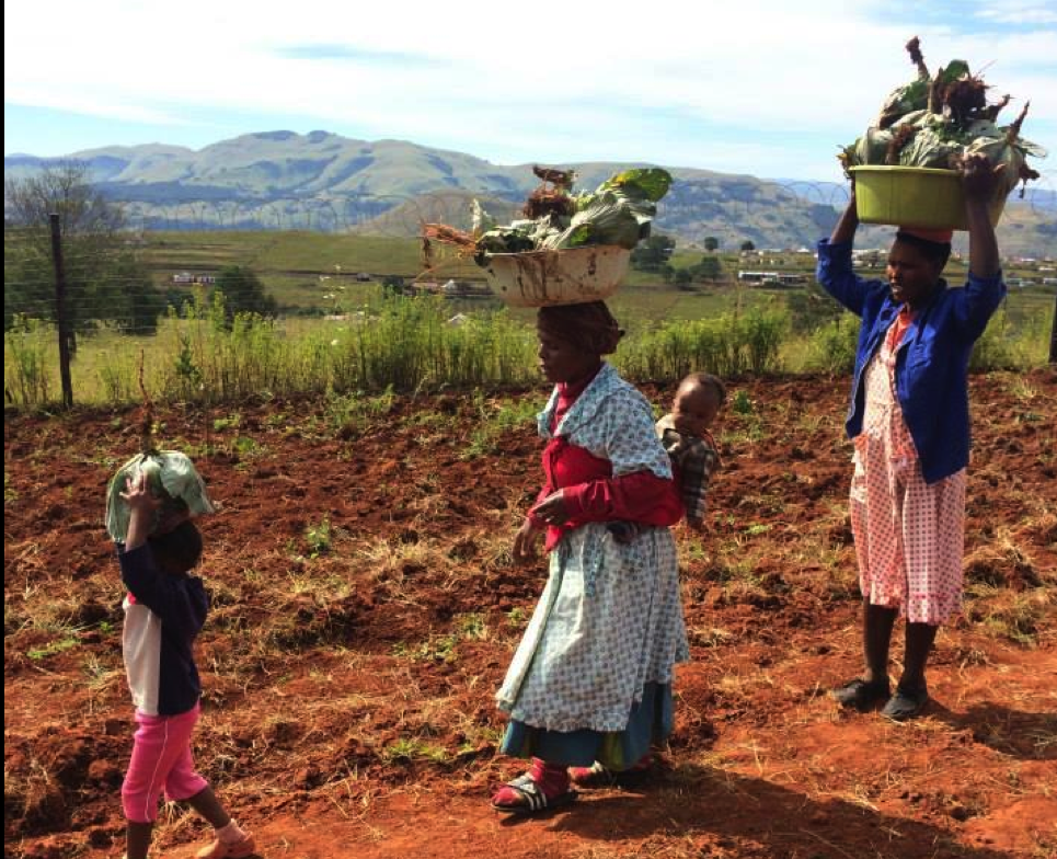 Humans of South Africa: The Sandanezwe Disability Project - ONE.org US